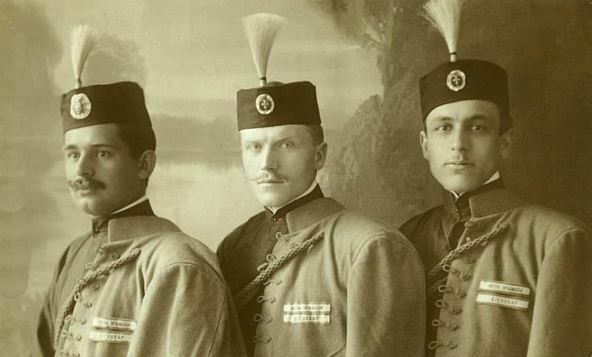 Srpski soko u Hrvatskoj