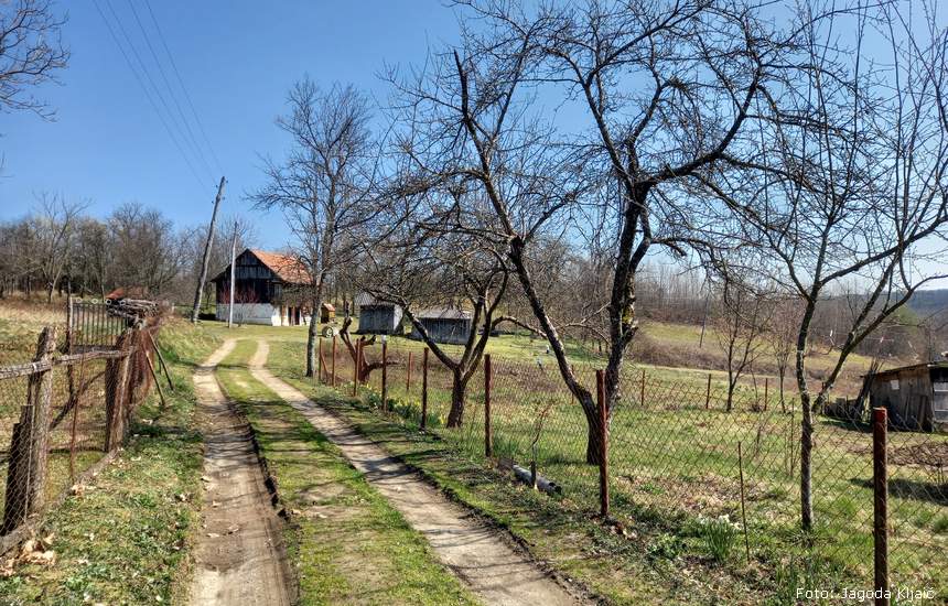 Još jedan omaž za Baniju