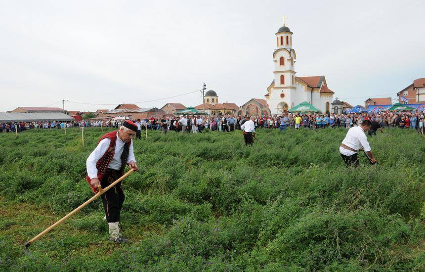 Rođendan najmlađeg beogradskog naselja - 28 GODINA BUSIJA