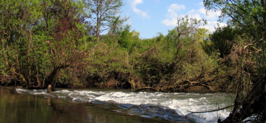 Rijeke, rječice, potoci i vrela Banije